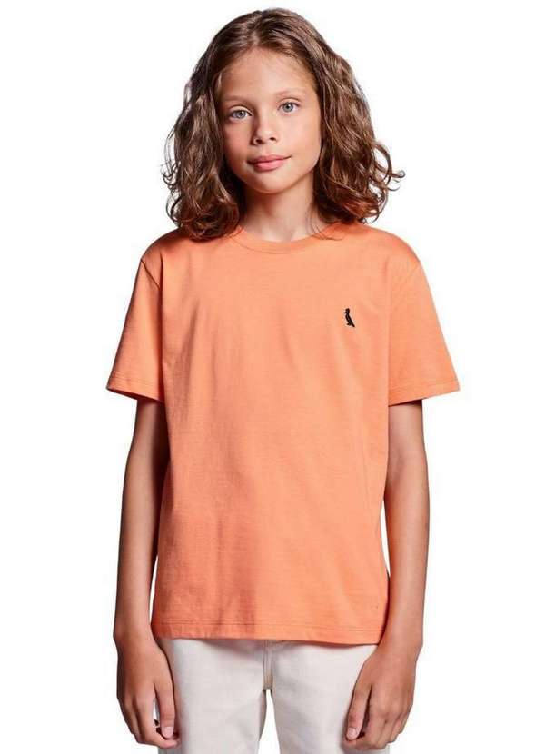 Camiseta Algodão Pica Pau Lisa Gola Careca Reserva Mini Papaia - Reserva